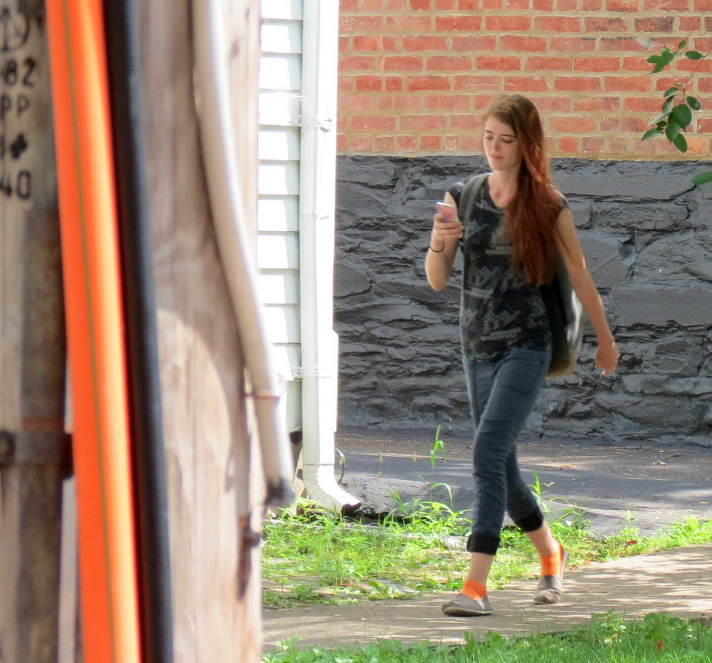 Pokemon at the gates | suns along the Mohawk