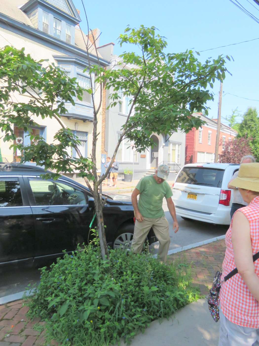 Stockade tree trimming workshop | suns along the Mohawk